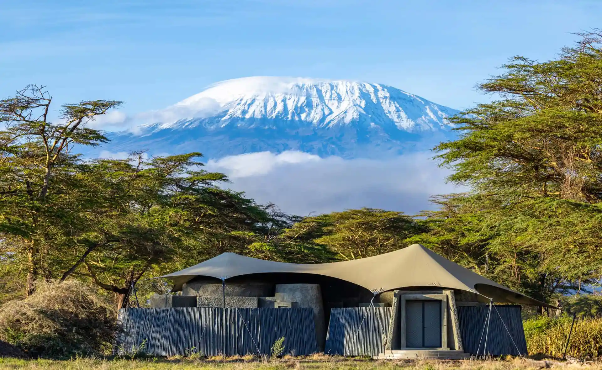 Where Should You Go on Safari in April?